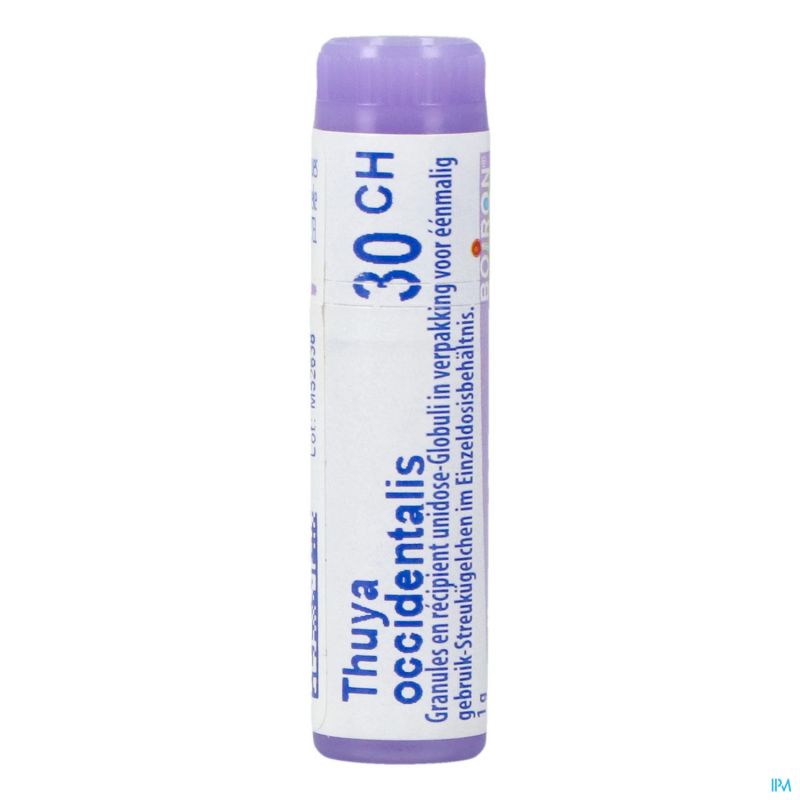 THUYA OCCIDENTALIS 30 CH GLOBULES : Globules | Pharmacodel, votre Pharmacie en Ligne