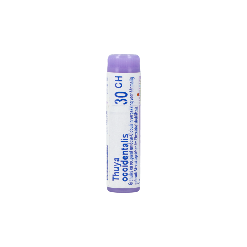 THUYA OCCIDENTALIS 30 CH GLOBULES : Globules | Pharmacodel, votre Pharmacie en Ligne