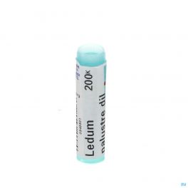 Ledum Palustre 200k Gl Boiron : Globules | Pharmacodel, votre Pharmacie en Ligne